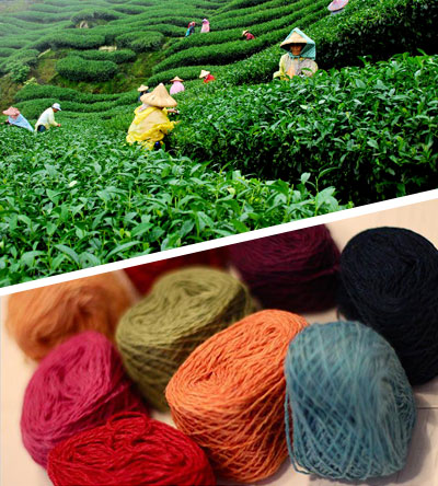 Profile | Bengal Tea & Fabrics Ltd.